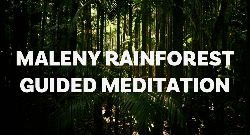 Maleny rainforest meditation | Queensland Health
